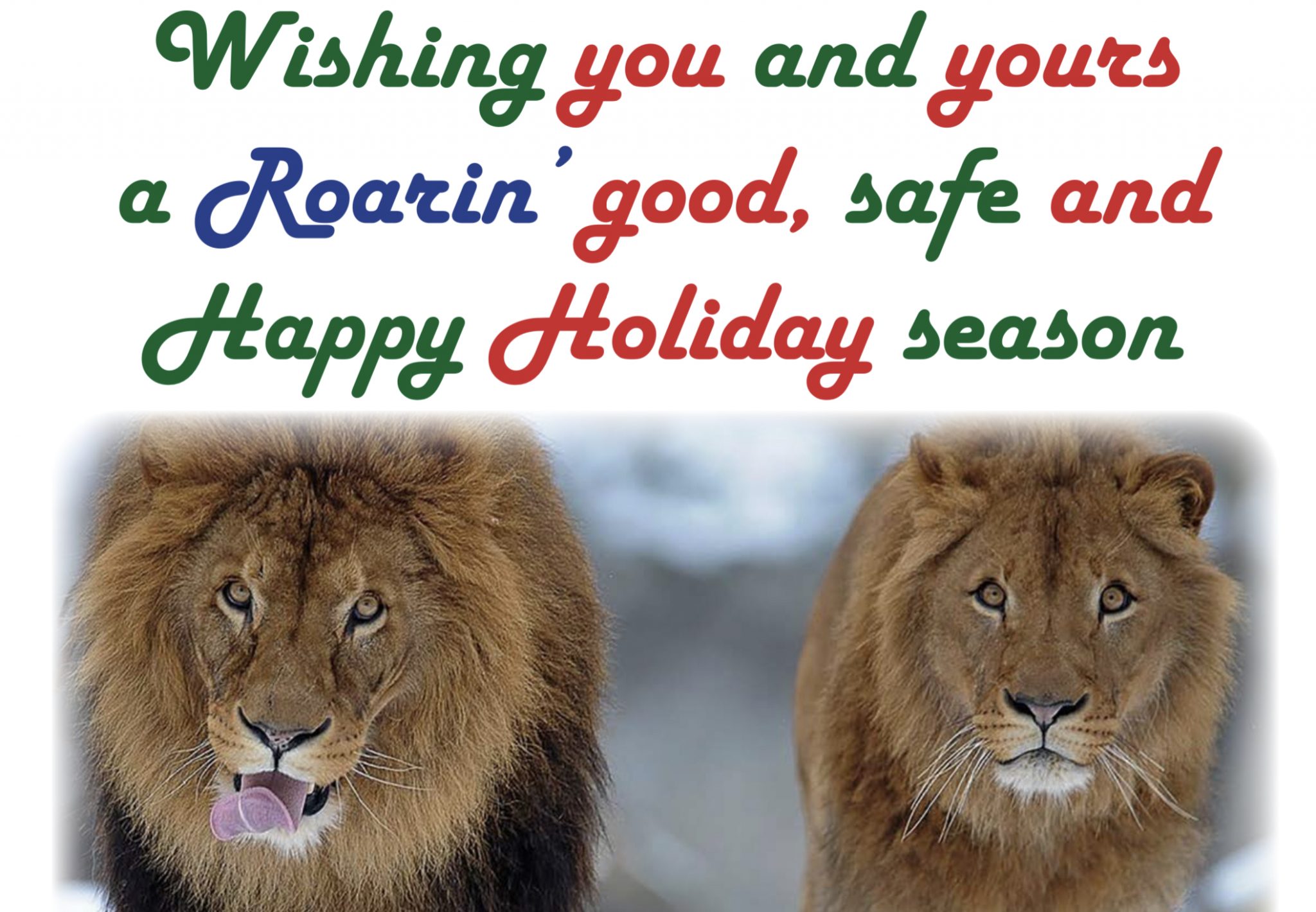 PA Lions – MD-14 Pennsylvania Lions