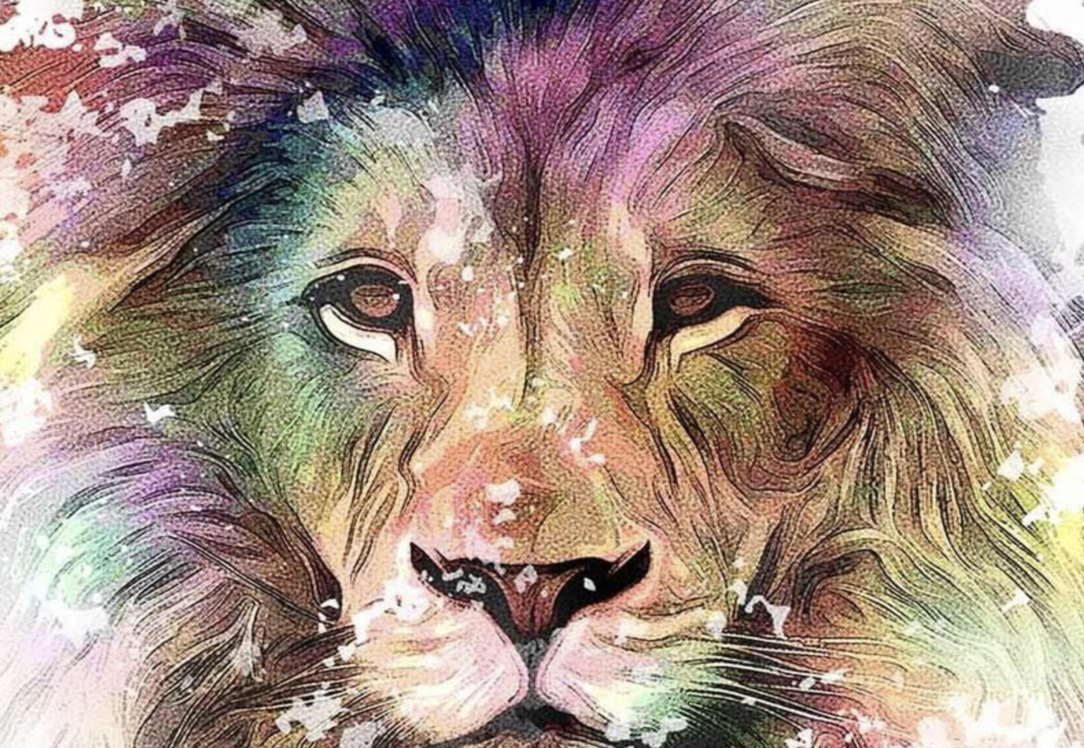 PA Lions – MD-14 Pennsylvania Lions