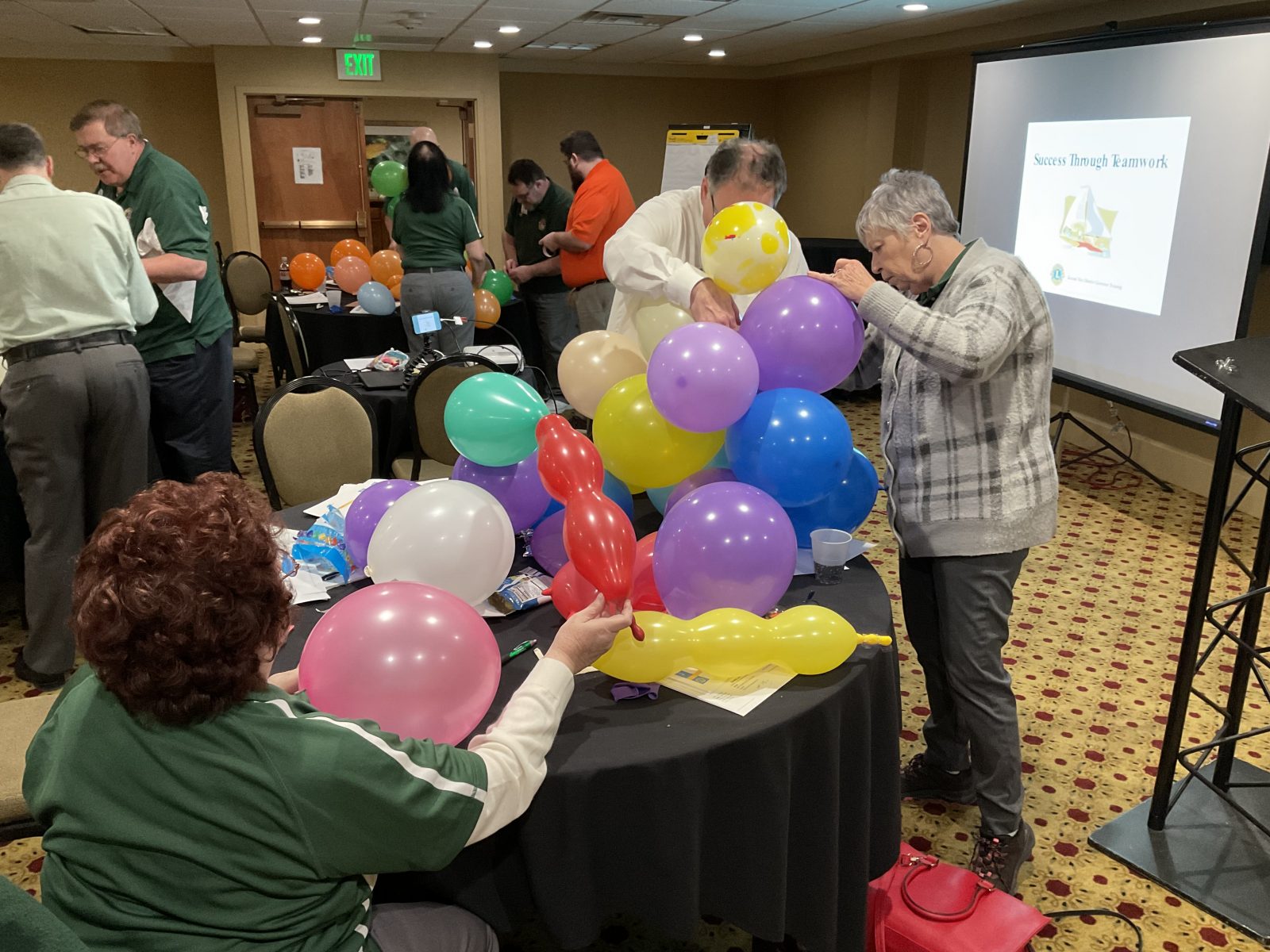 Vice District Governor Training – PA Lions